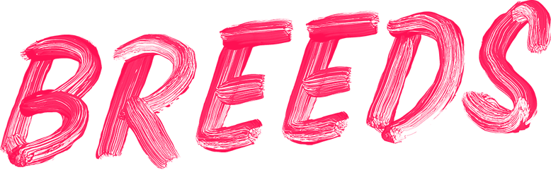 Creativity Comes Naturally Since 1990 | Blayney Partnership