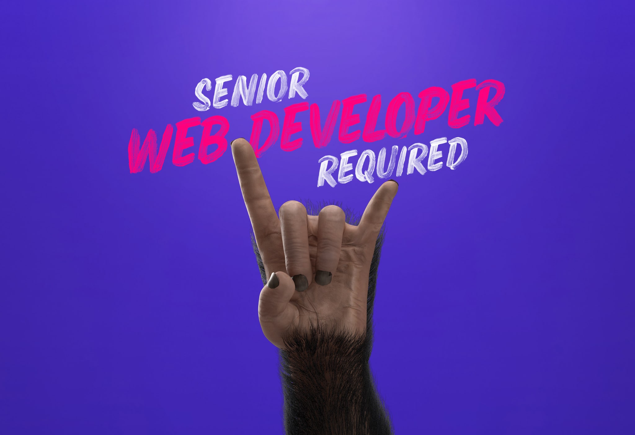 Senior Web Developer Required | Blayney Partnership